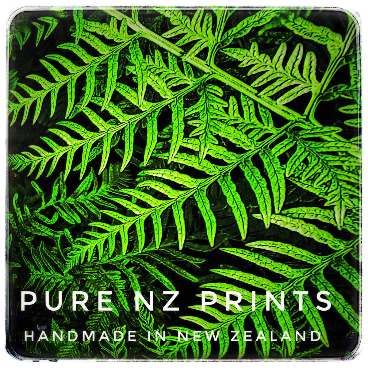 Merry Xmas from Pure NZ Prints – PURE NZ PRINTS